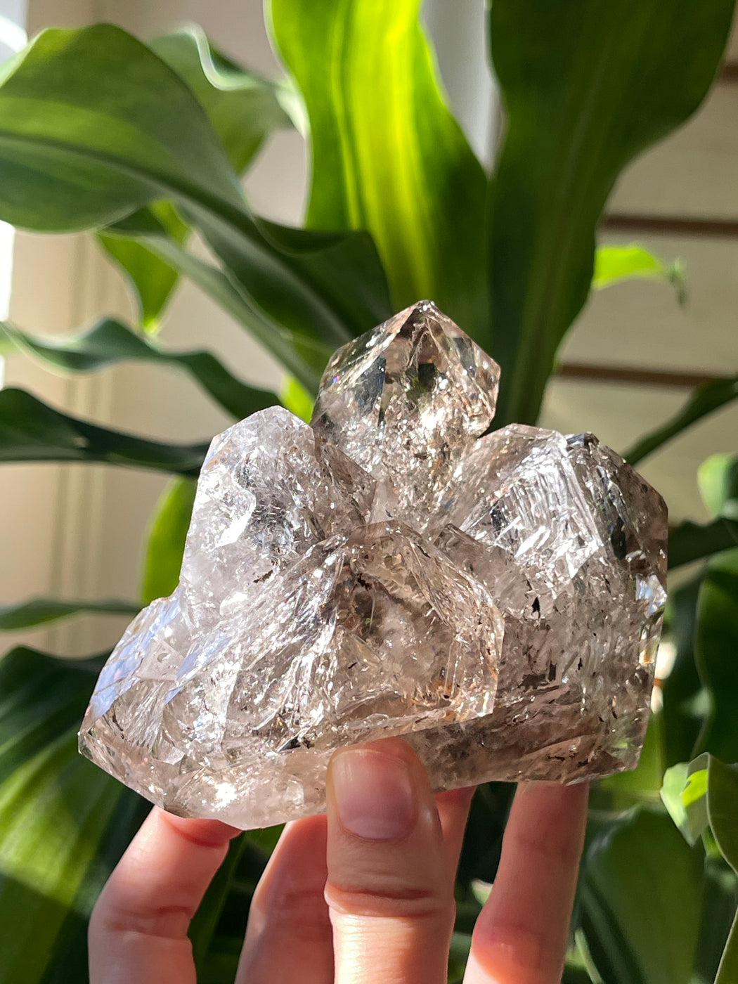 Crystals – Rare Earth Bead & Crystal Shop